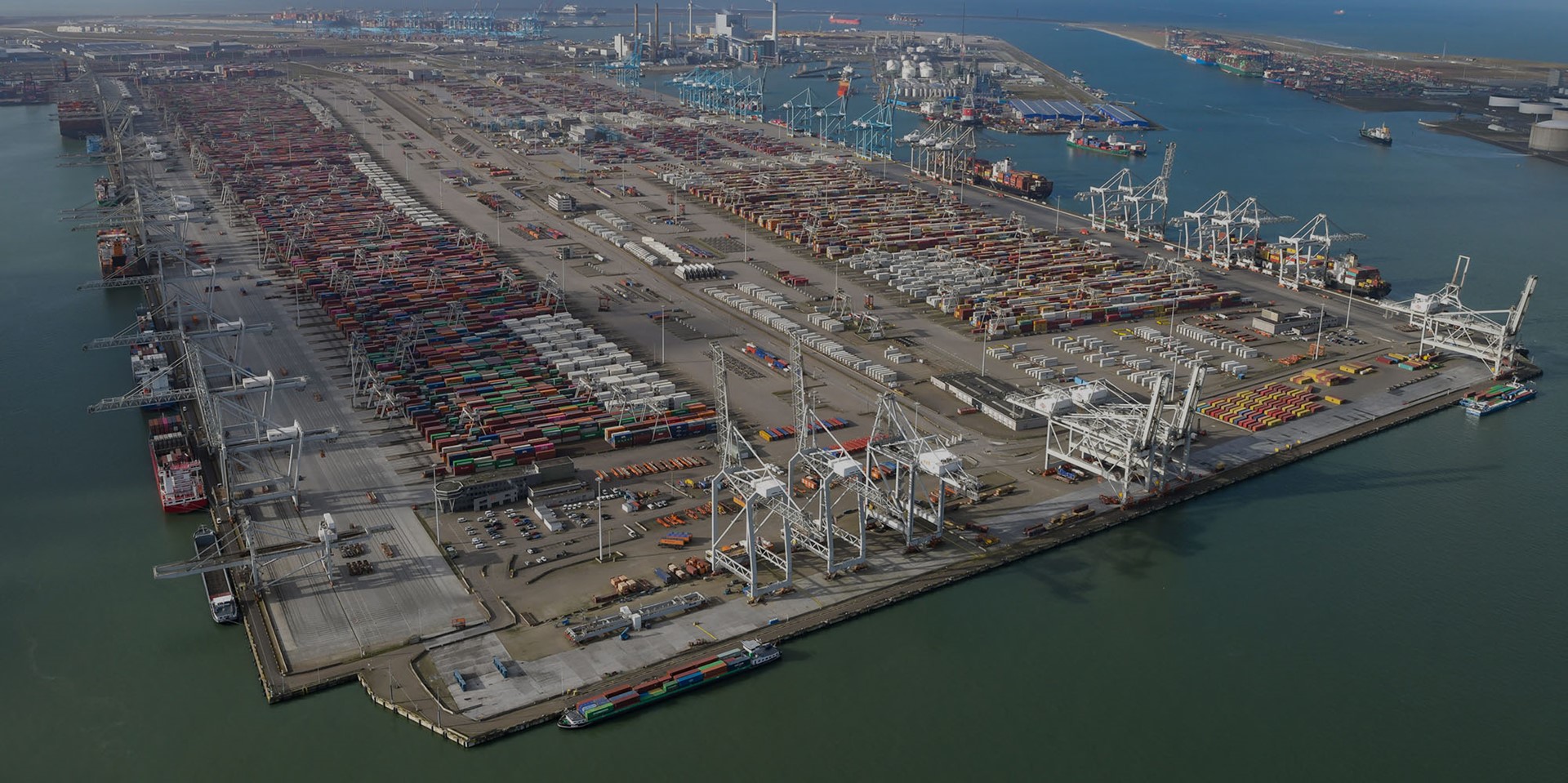 Nieuwe kranen voor de ECT Delta terminal